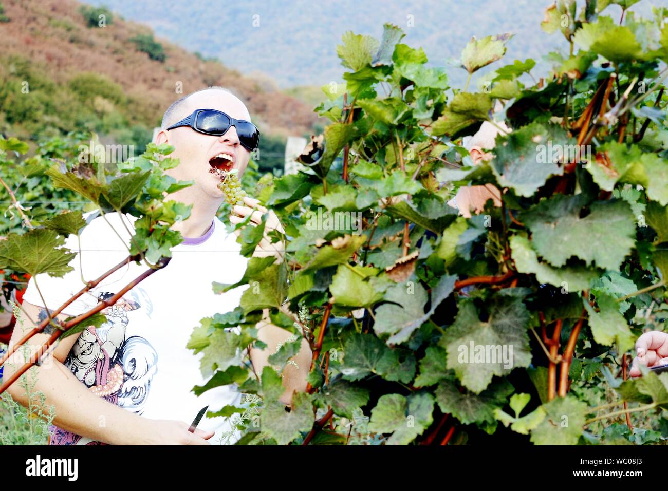 Man eating grapes hi-res stock photography and images - Alamy