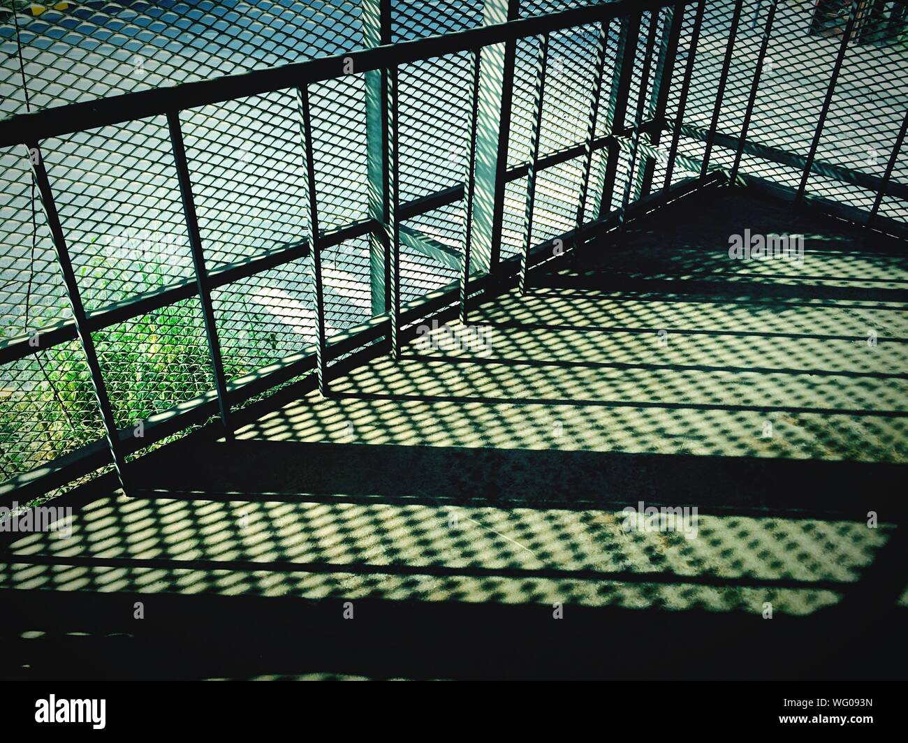 Tree Sunlight Fence High Resolution Stock Photography and Images - Alamy