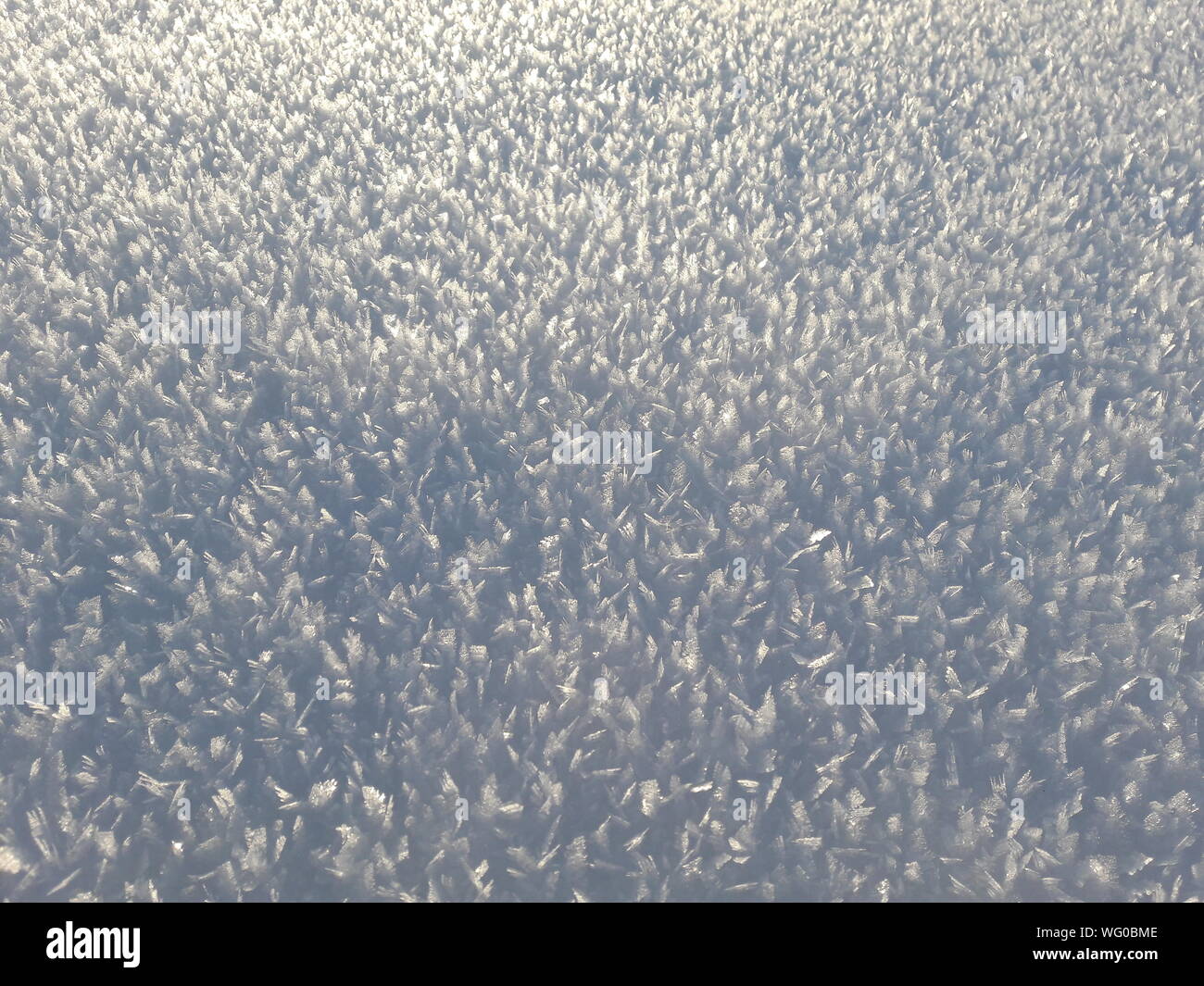 Ground frozen hi-res stock photography and images - Alamy