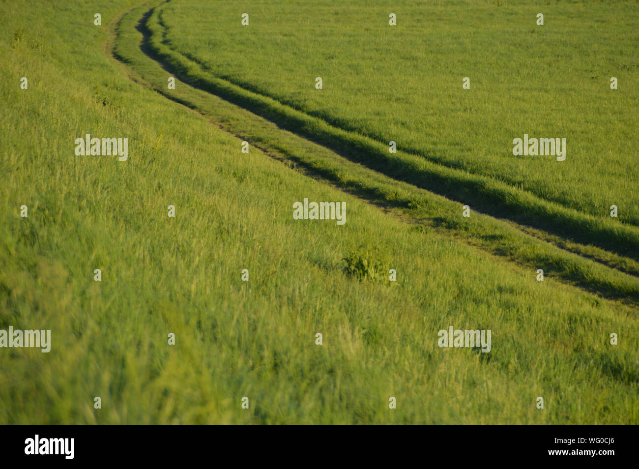 Tracks in grassy field hi-res stock photography and images - Alamy