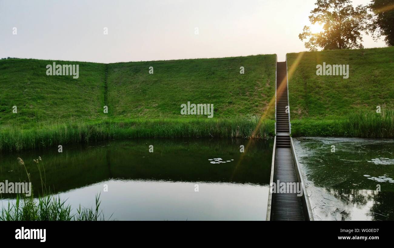 Pond boardwalk hi-res stock photography and images - Alamy