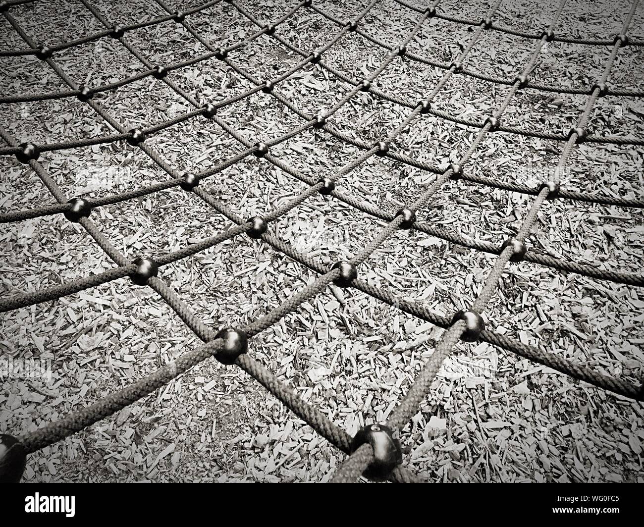 Jungle ropes hi-res stock photography and images - Alamy