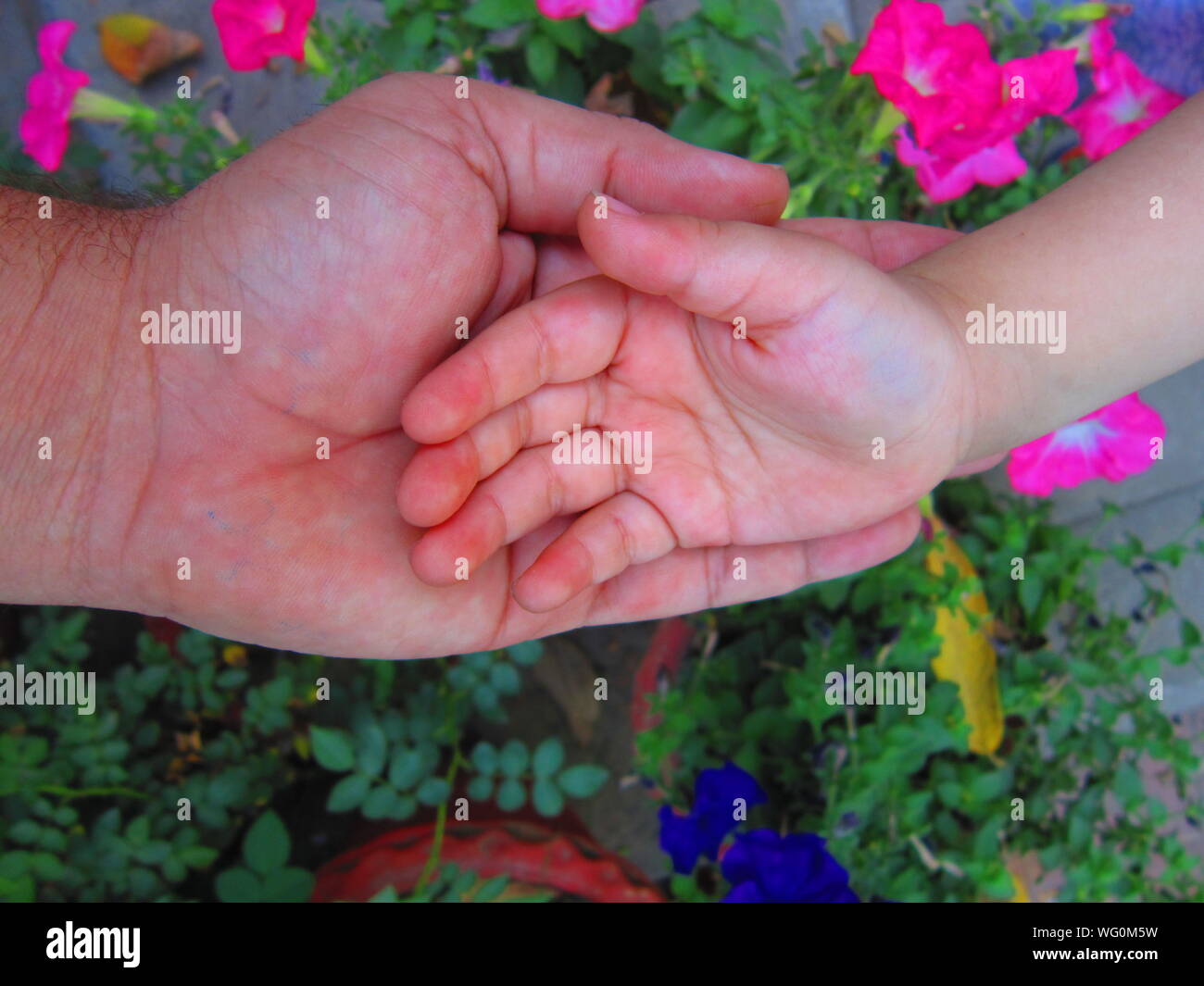 Child palm of hands hi-res stock photography and images - Alamy