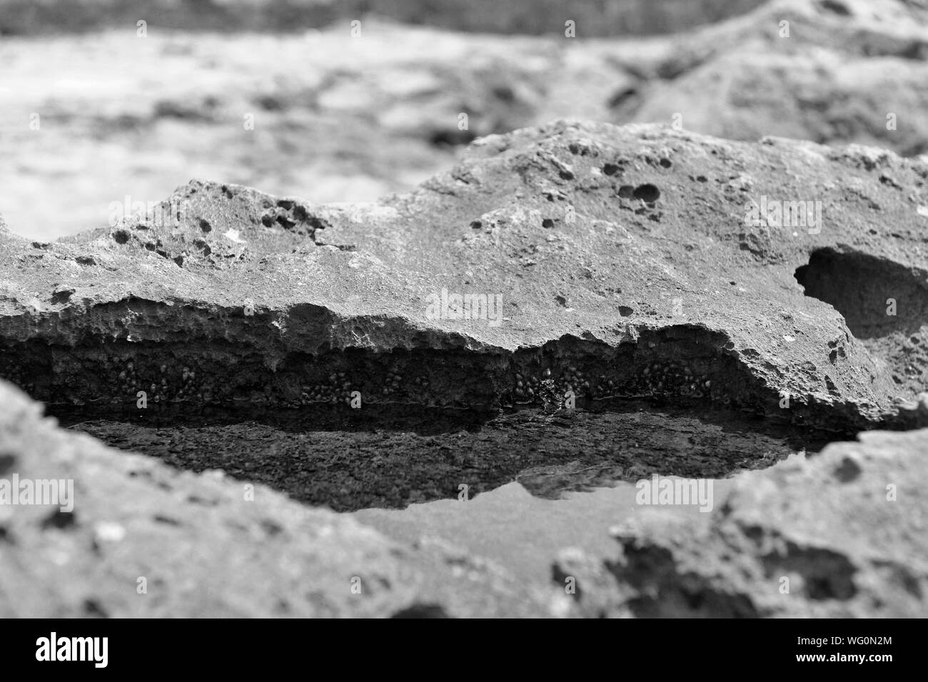 Rocky Ground Ground High Resolution Stock Photography and Images - Alamy