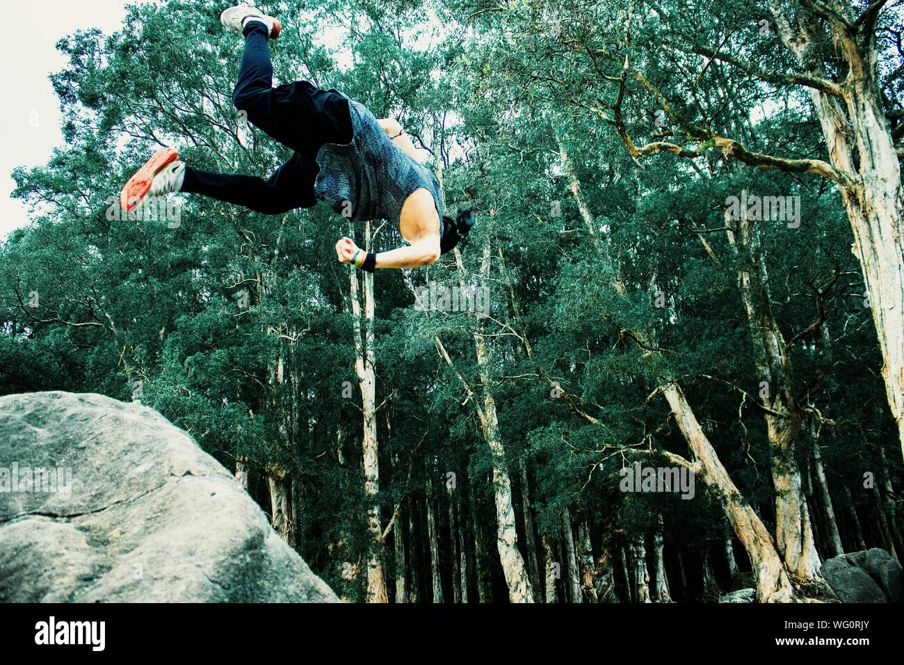Man jumping from tree hi-res stock photography and images - Alamy