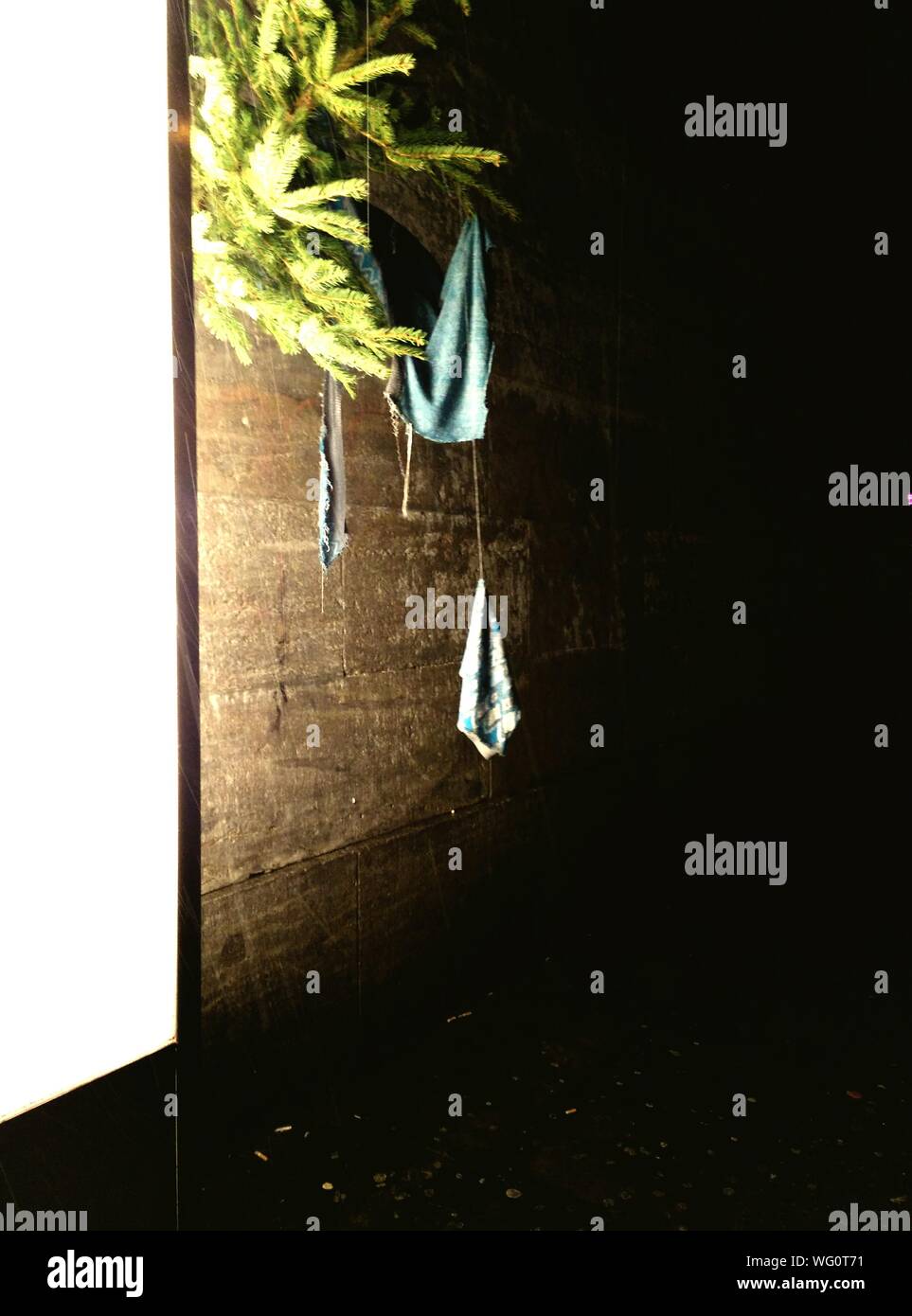Cloth hanging tree hi-res stock photography and images - Alamy