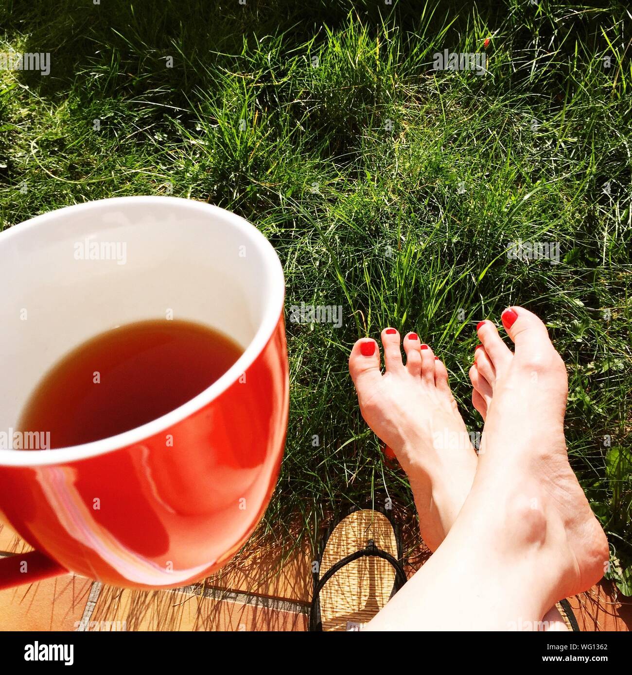 Backyard sunbathing hi-res stock photography and images - Alamy
