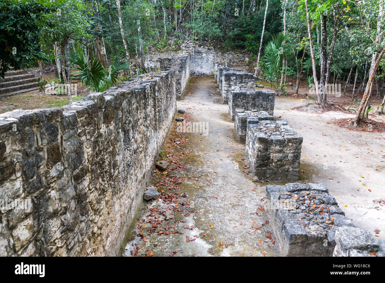 Old Ruins In Forest Stock Photo - Alamy