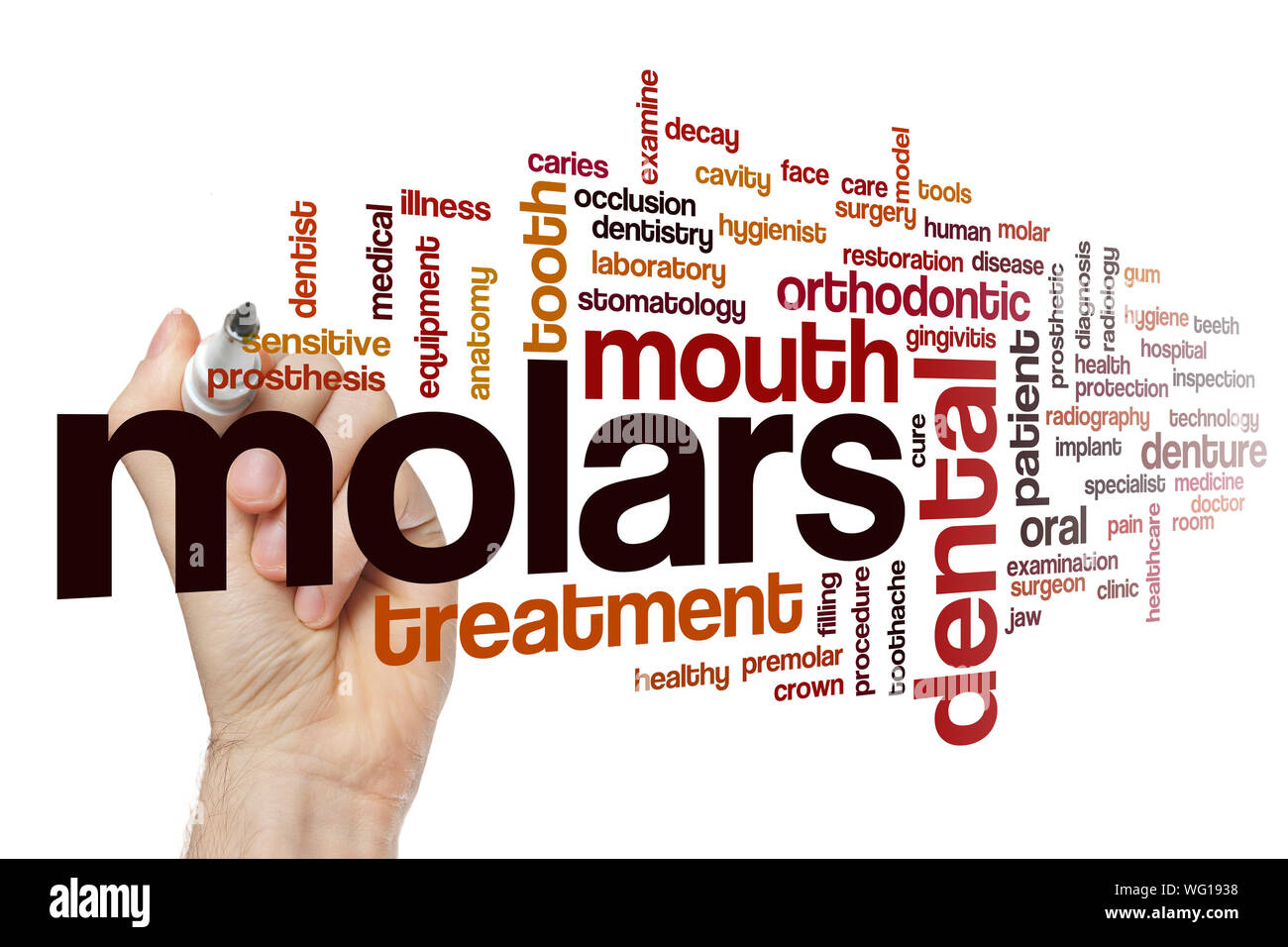 Teeth molars mouth Cut Out Stock Images & Pictures - Alamy