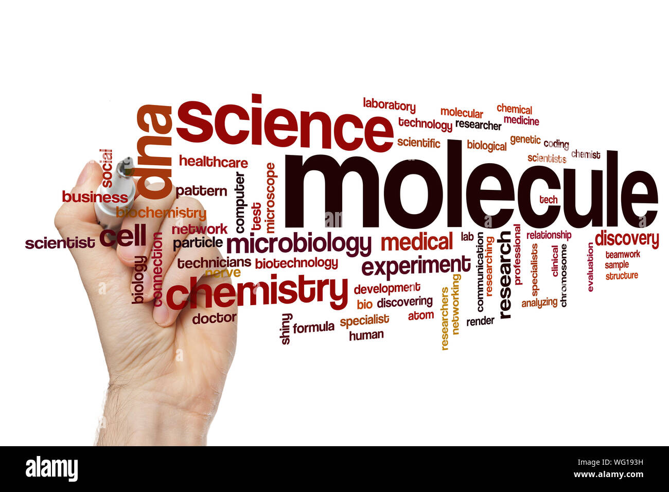 Molecular biology concept word cloud Cut Out Stock Images & Pictures ...