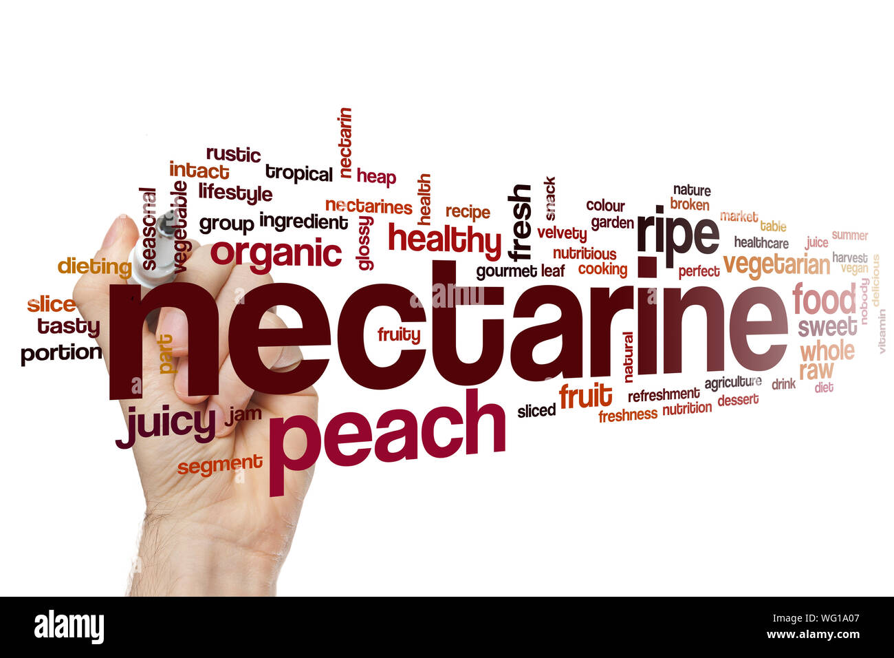 Nectarine word cloud concept Stock Photo - Alamy
