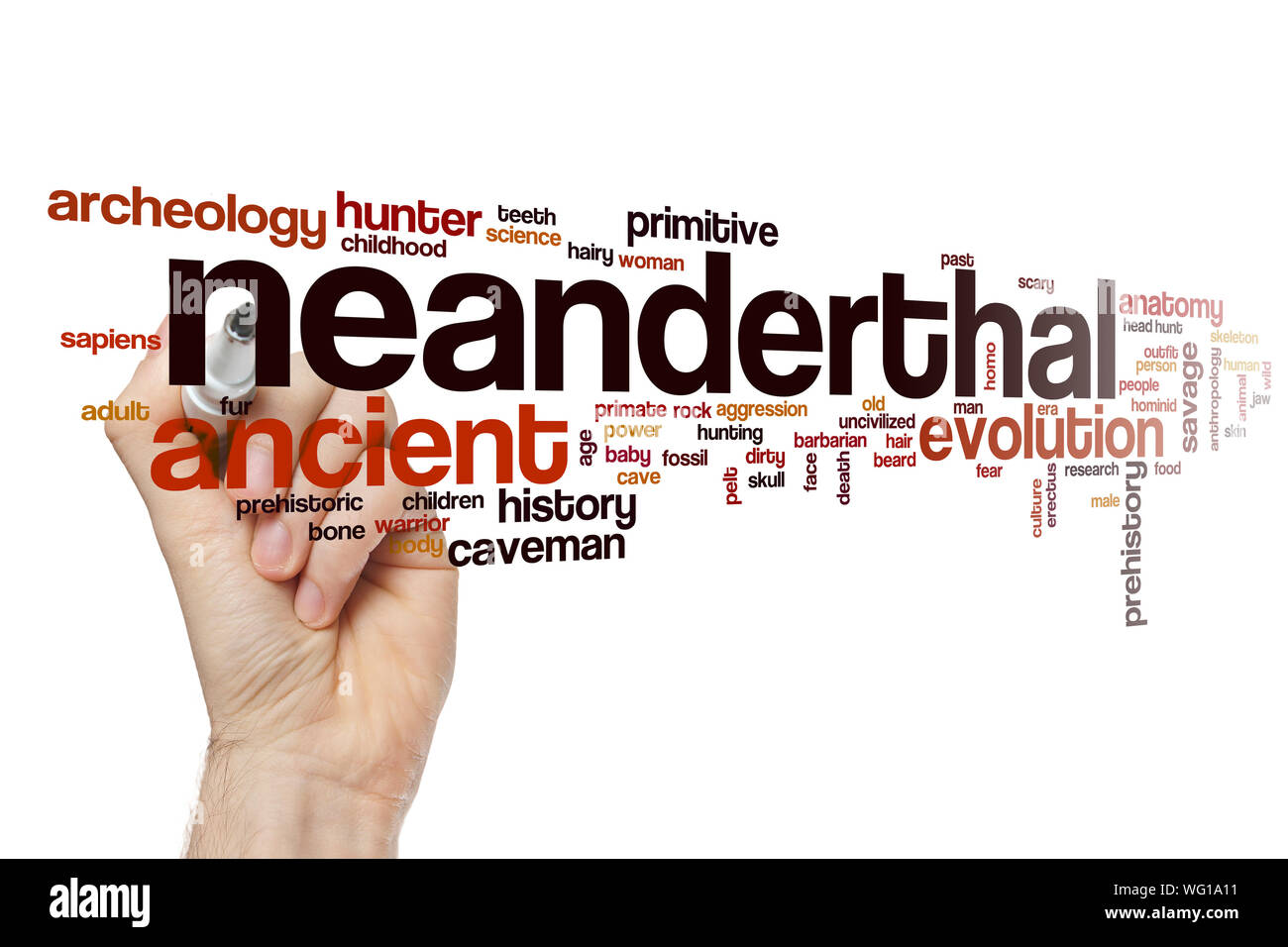 Neanderthal jaw bone hi-res stock photography and images - Alamy