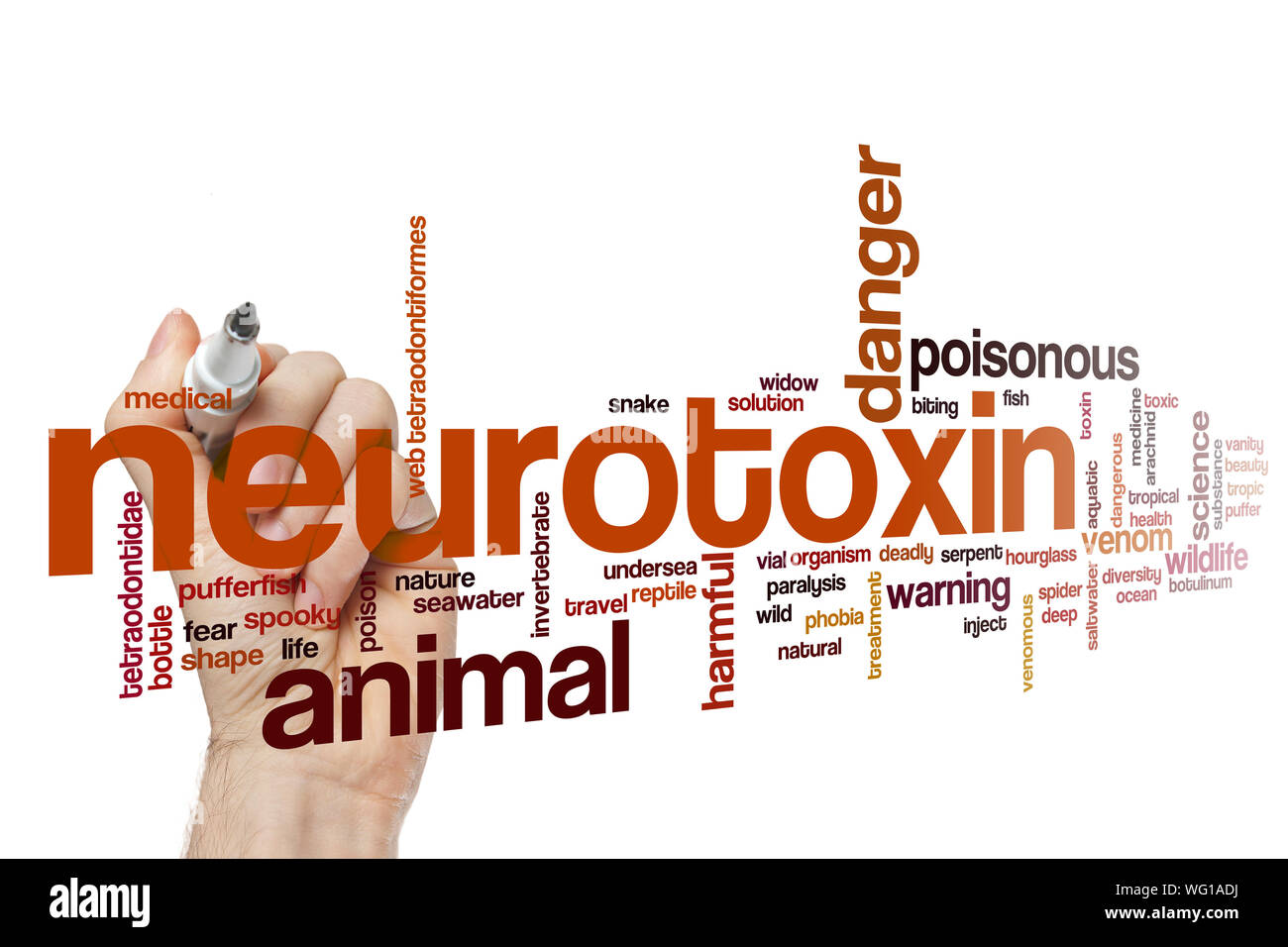 Neurotoxin word cloud concept Stock Photo - Alamy