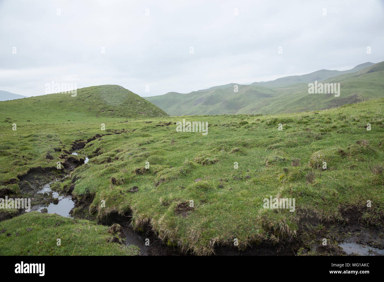 Amdo tibet hi-res stock photography and images - Alamy