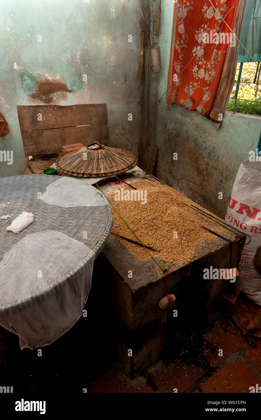 Rice Paper Making, Entrepreneur, south Vietnam, Delta Stock Photo - Alamy