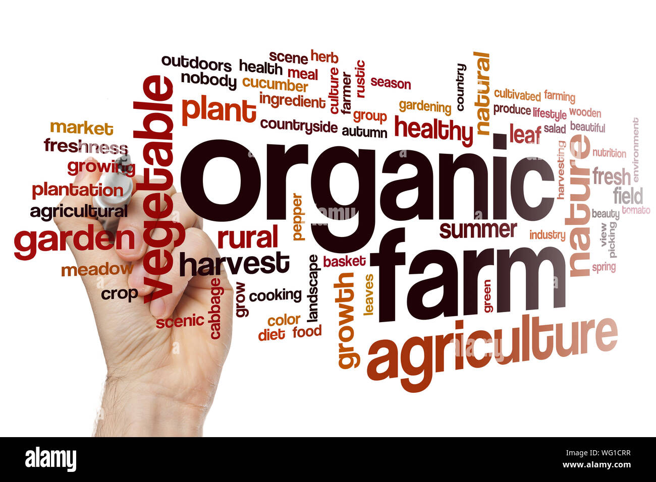 Organic farm word cloud concept Stock Photo - Alamy