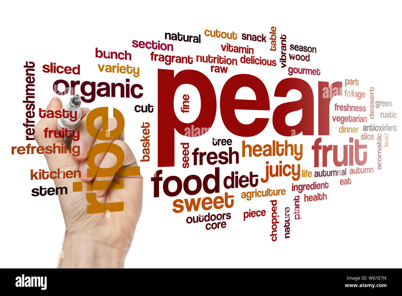Pear word cloud concept Stock Photo - Alamy