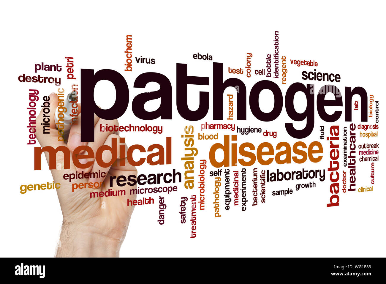 Pathogen word cloud concept Stock Photo - Alamy