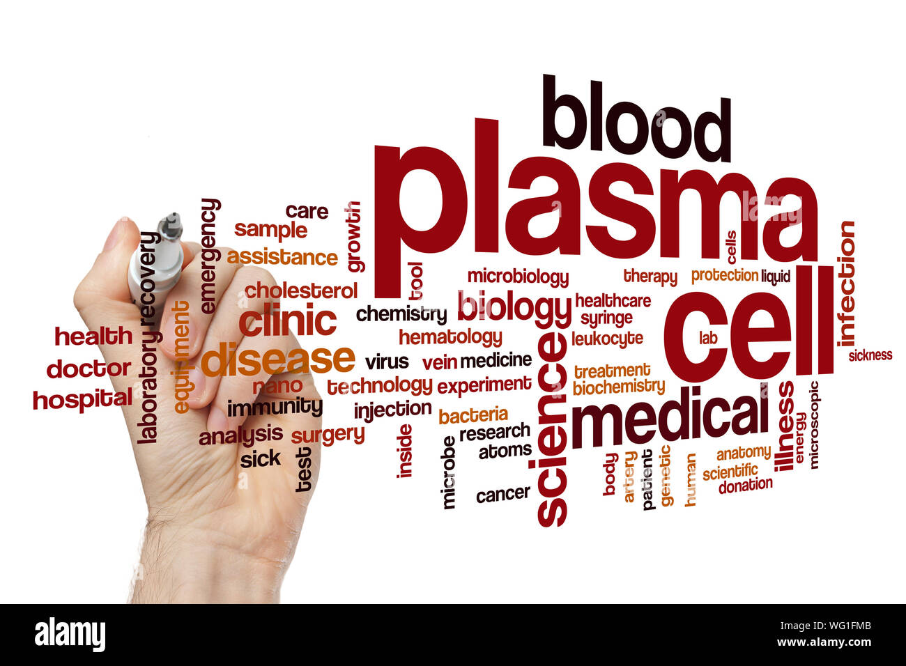 Plasma cell word cloud concept Stock Photo - Alamy