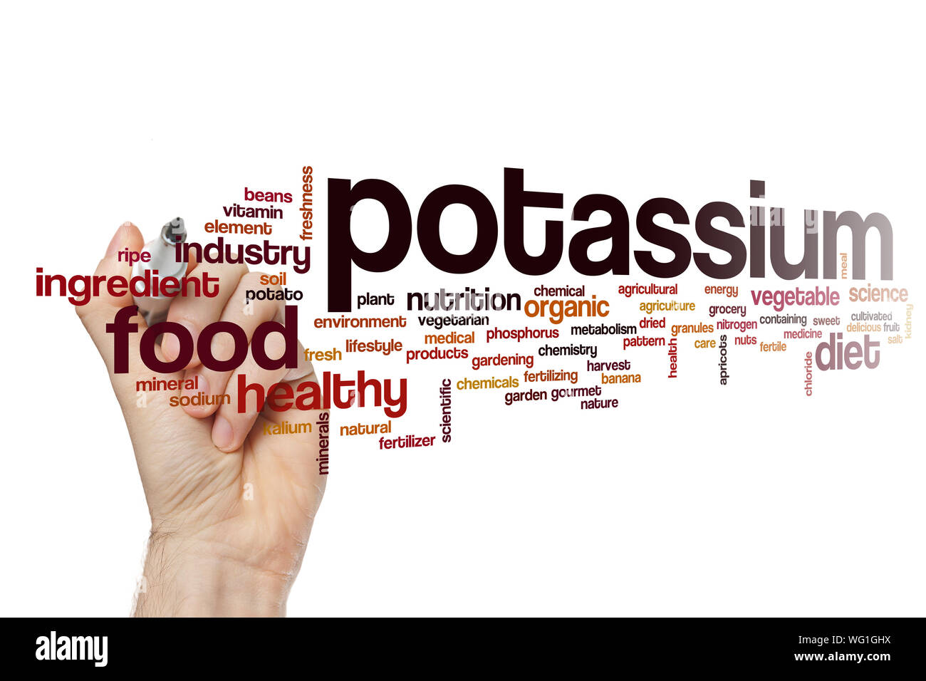 Potassium word cloud concept Stock Photo - Alamy