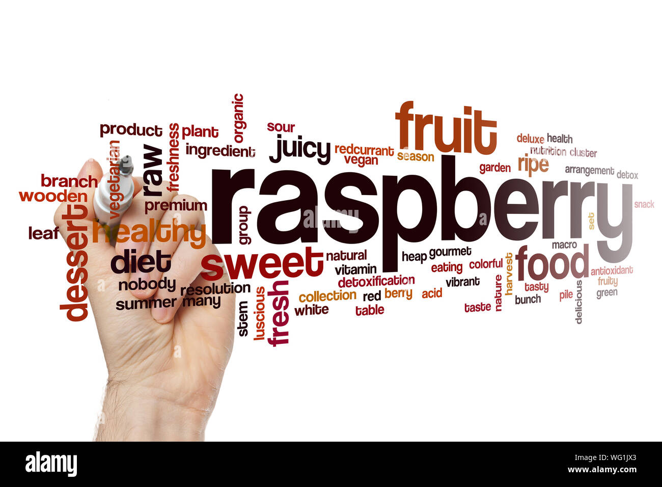 Raspberry word cloud concept Stock Photo - Alamy