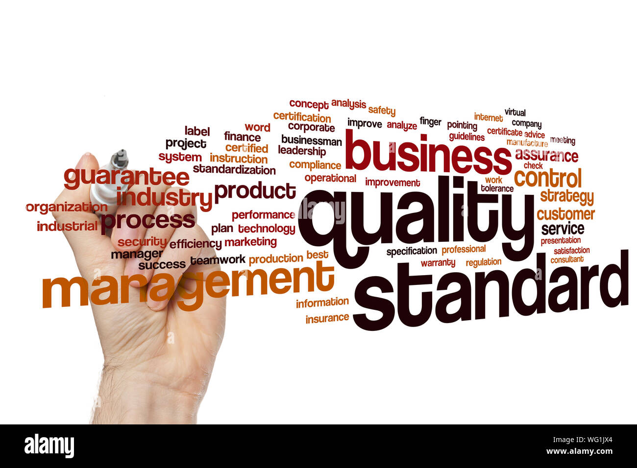 Quality Standards Examples