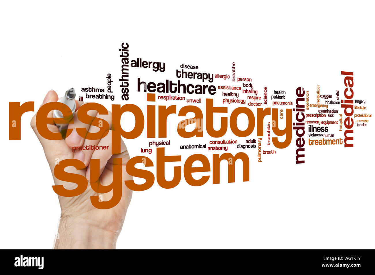 Respiratory system word cloud concept Stock Photo - Alamy