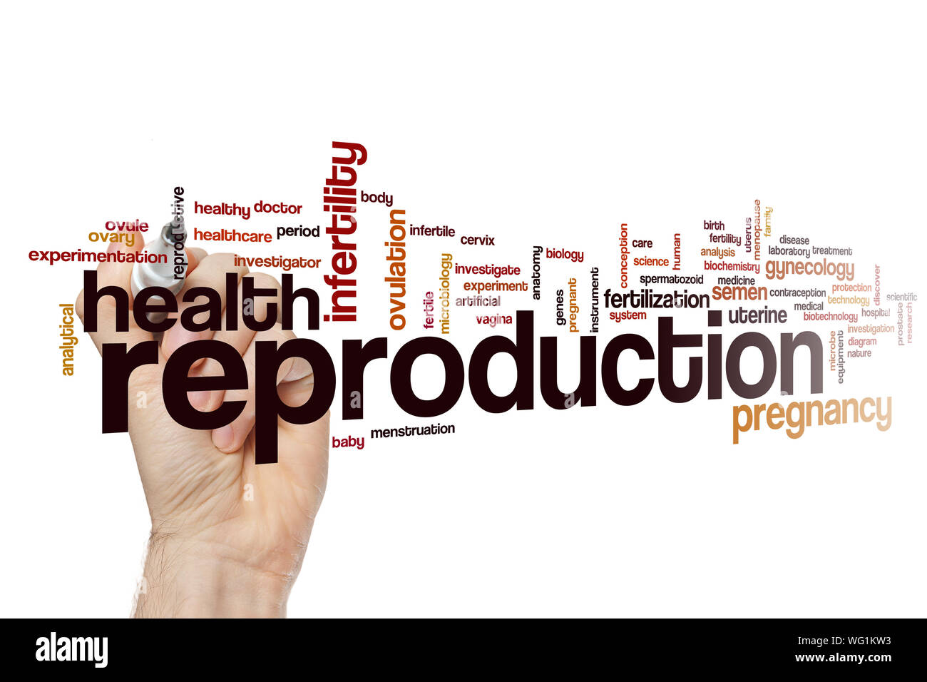 Reproduction word cloud concept Stock Photo - Alamy