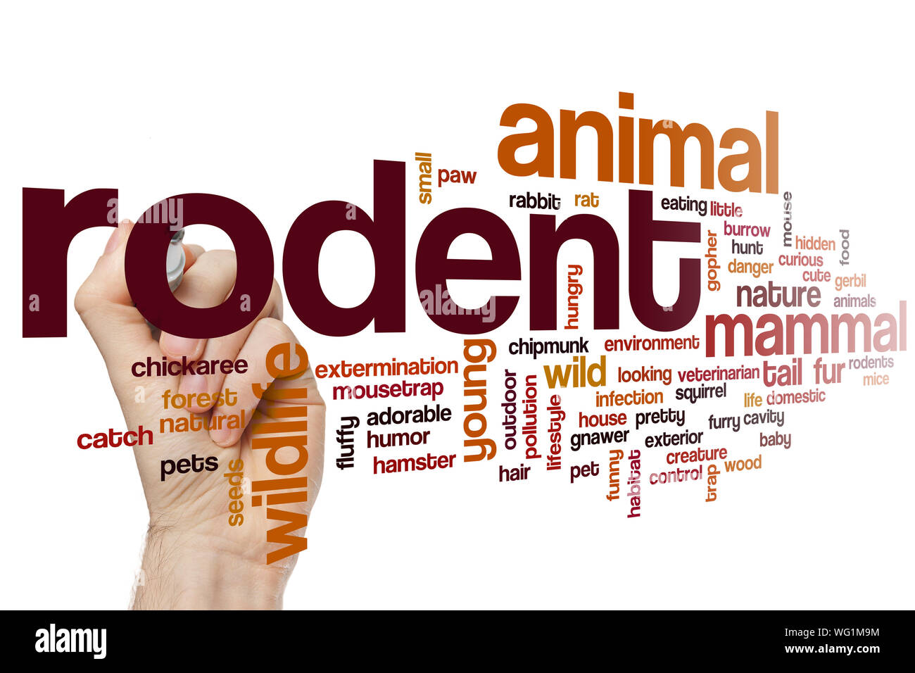 Rodent word cloud concept Stock Photo - Alamy