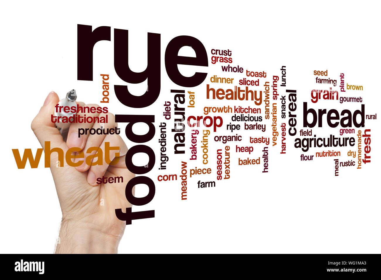 Rye word cloud concept Stock Photo - Alamy