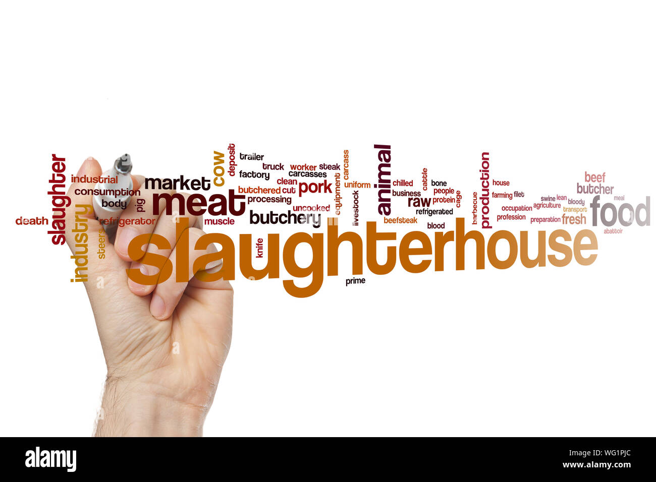 Slaughterhouse word cloud concept Stock Photo - Alamy