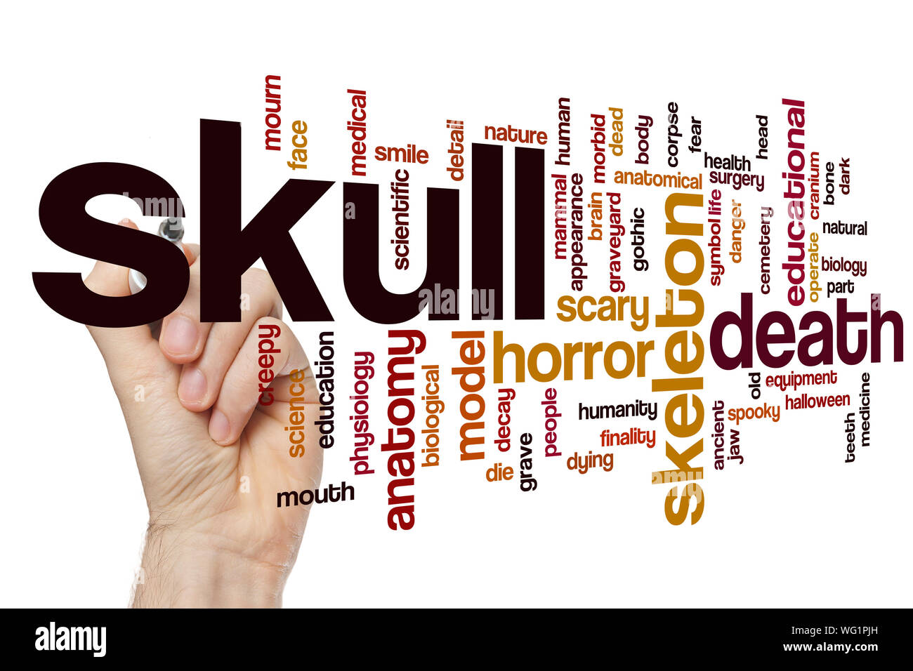 Skull word cloud concept Stock Photo - Alamy