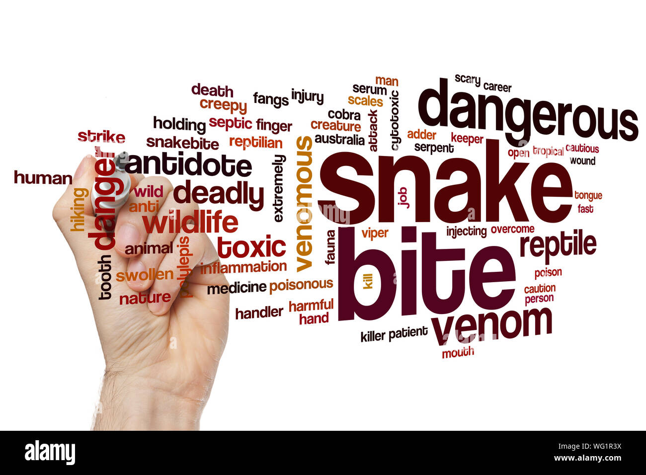 Snake bite word cloud concept Stock Photo - Alamy