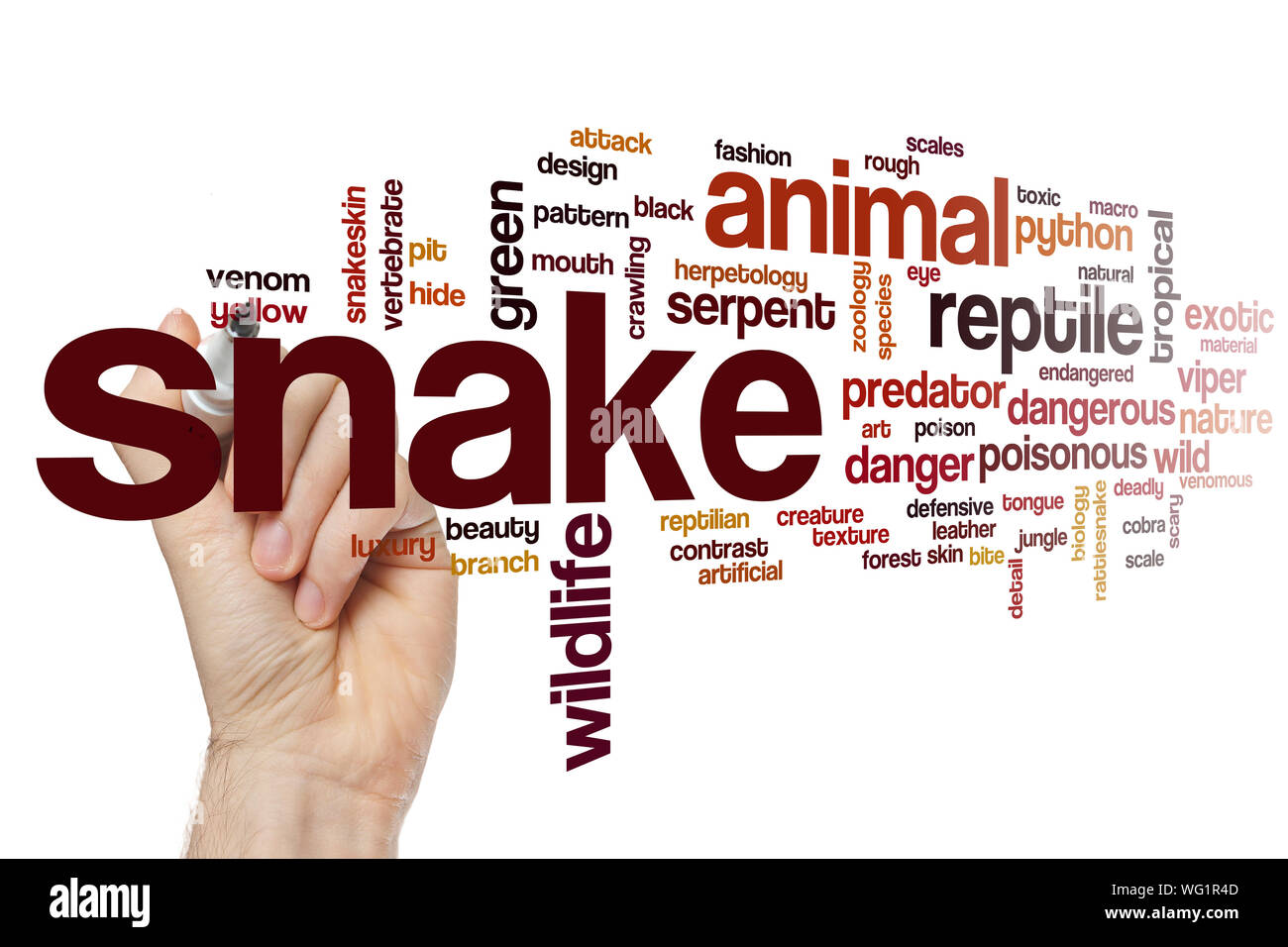 Snake word cloud concept Stock Photo - Alamy