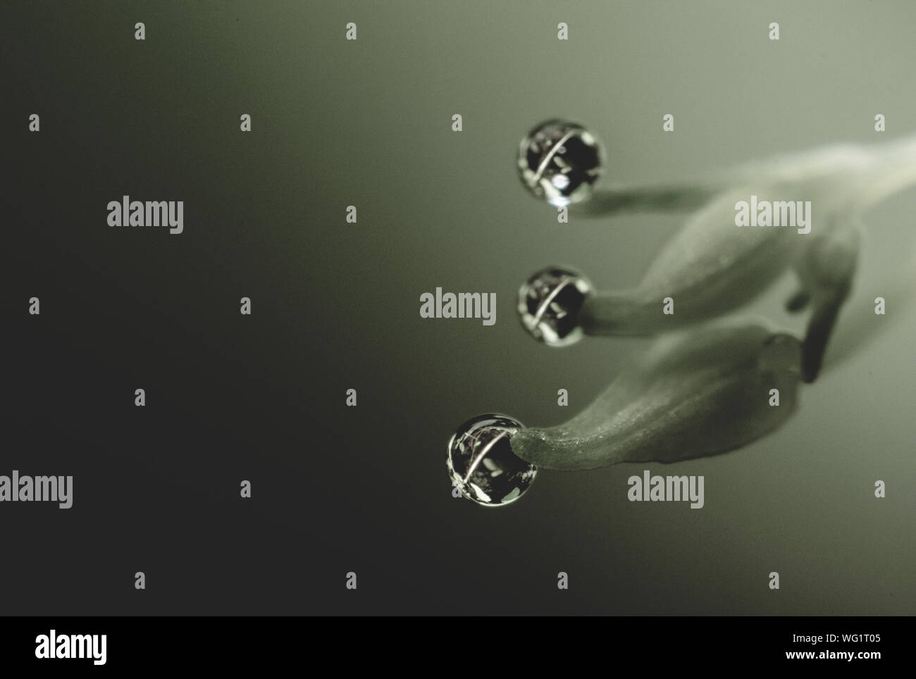 Water plain hi-res stock photography and images - Alamy