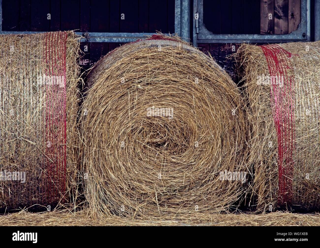 Rolled hay bale close hi-res stock photography and images - Alamy