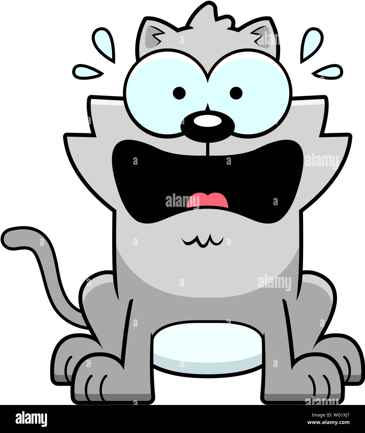 Cat scared looking Stock Vector Images - Alamy
