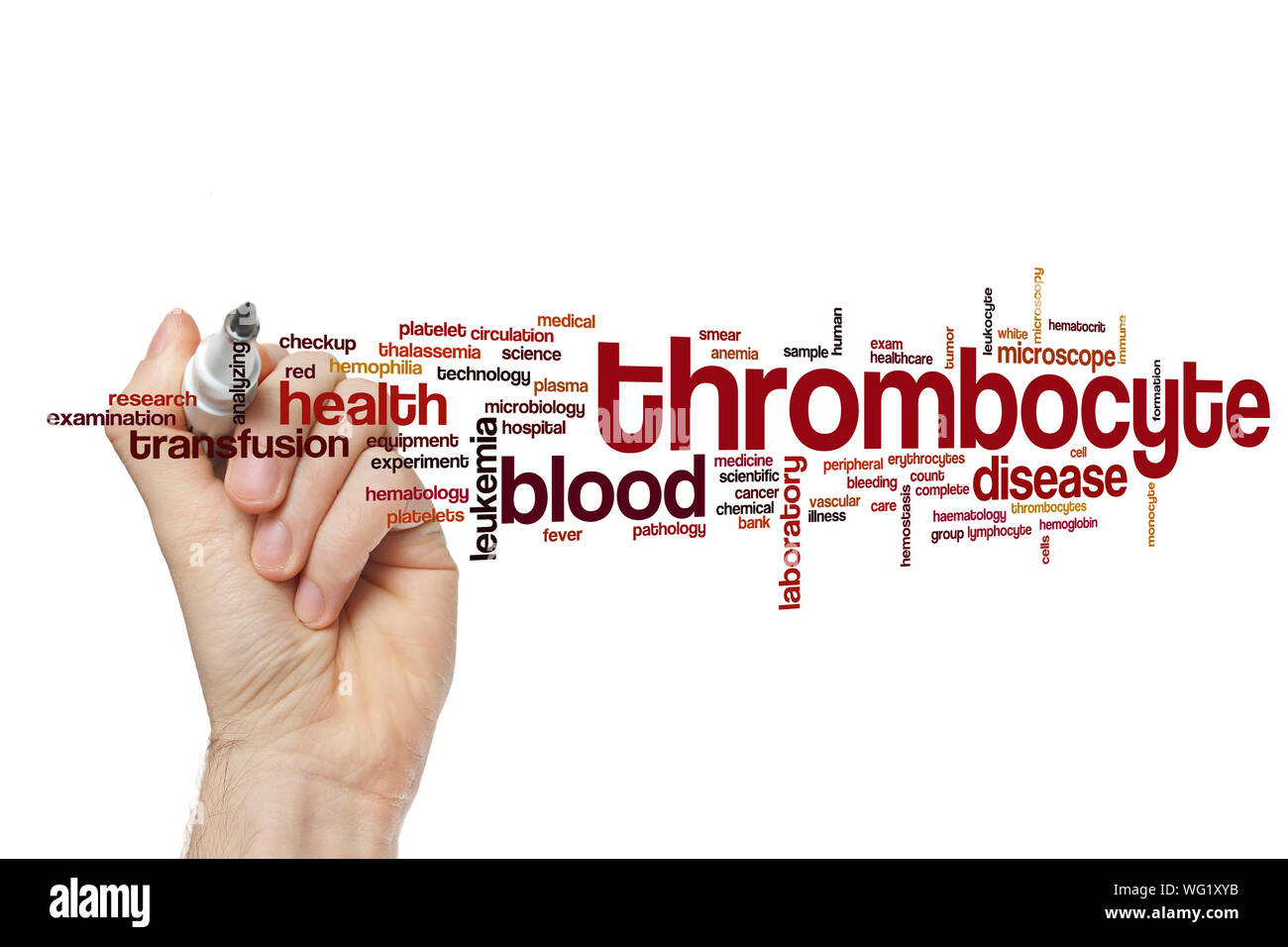 Human blood thrombocyte Cut Out Stock Images & Pictures - Alamy