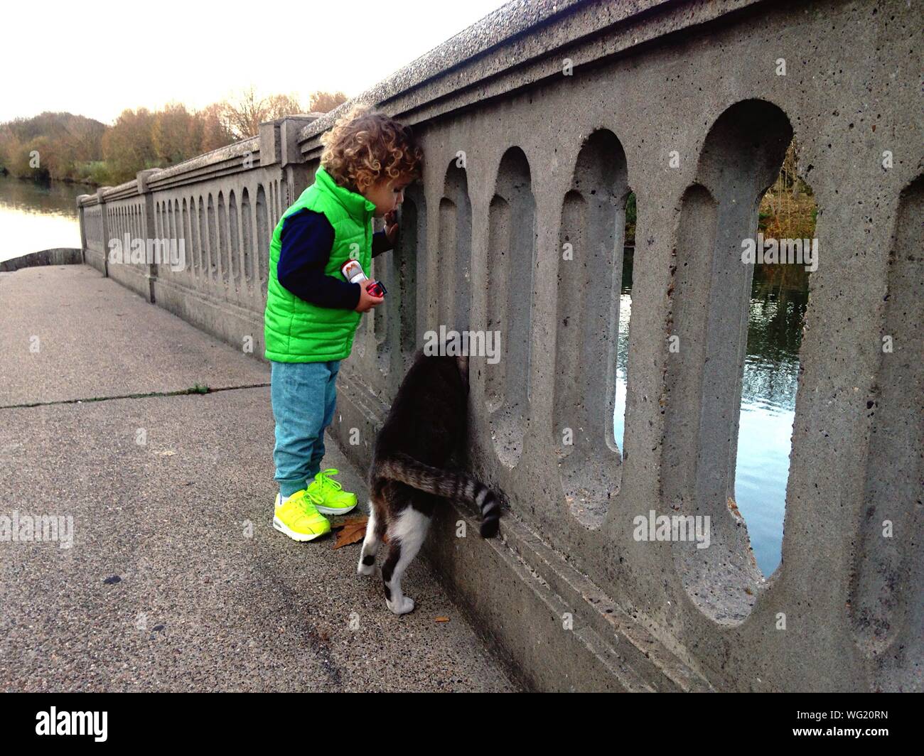Cat bridge hi-res stock photography and images - Alamy