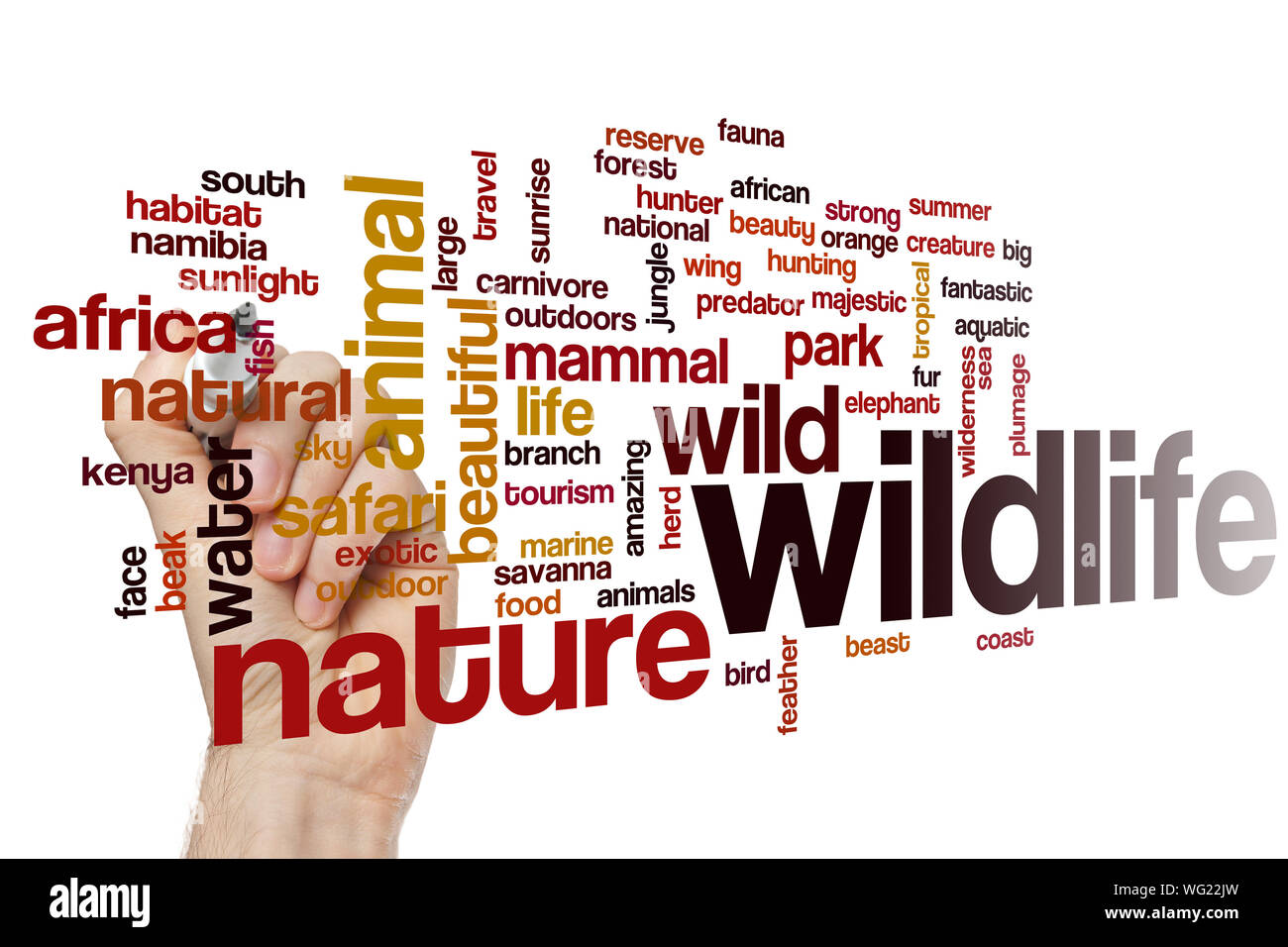 Wildlife word cloud concept Stock Photo - Alamy