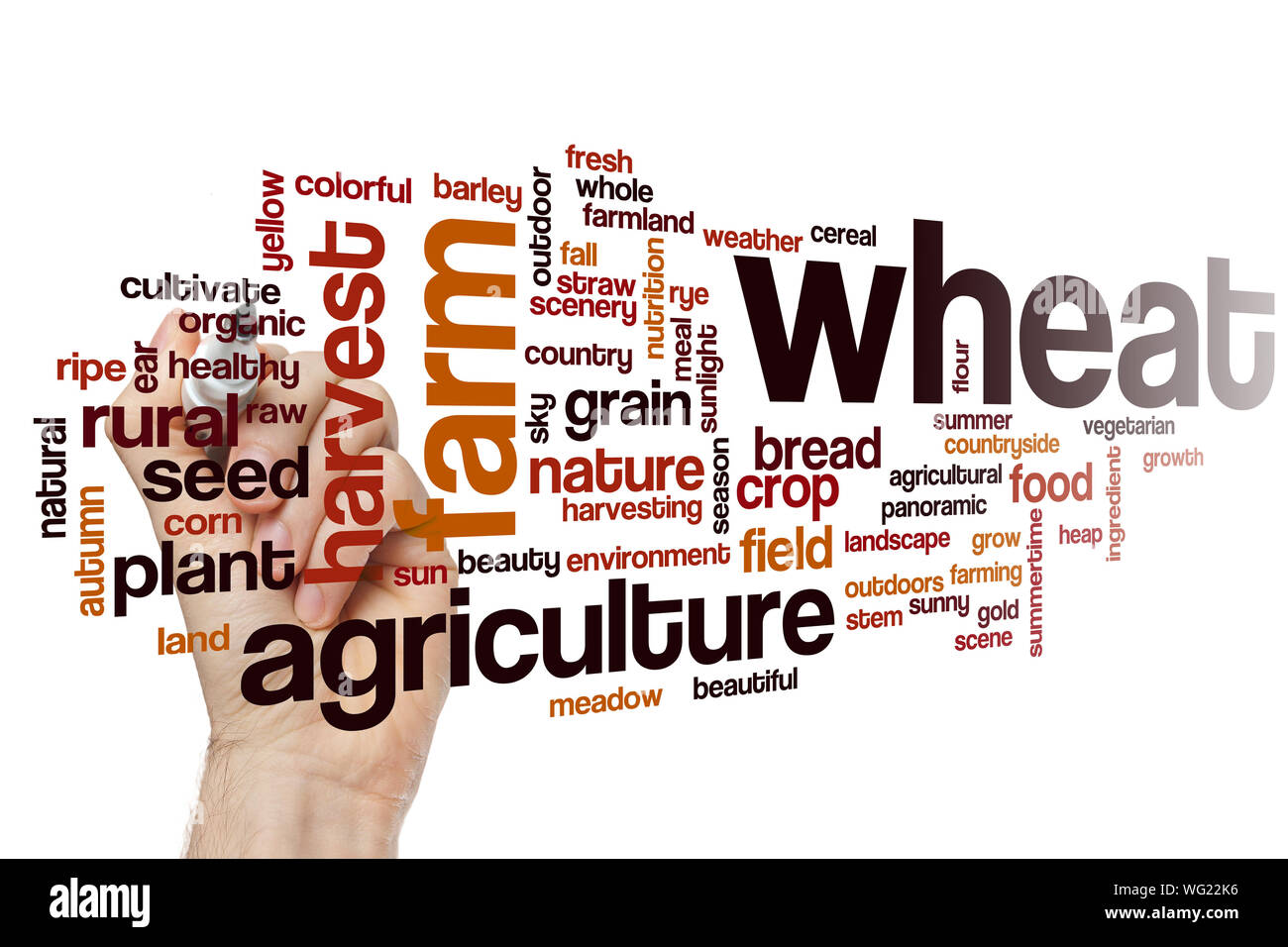 Gold wheat crop farm landscape Cut Out Stock Images & Pictures - Alamy