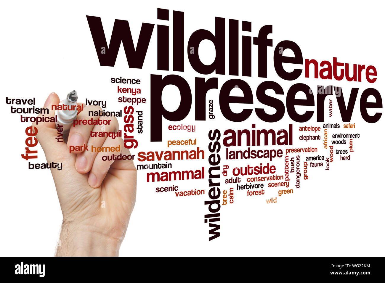 Wildlife preserve word cloud concept Stock Photo - Alamy