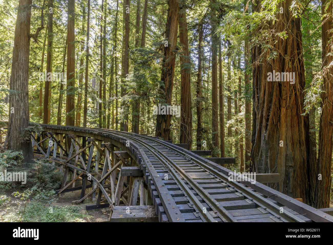 Steam locomotive trestle bridge hi-res stock photography and images - Alamy