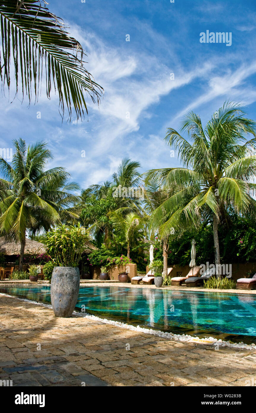 Swimming pool palm trees hi-res stock photography and images - Alamy