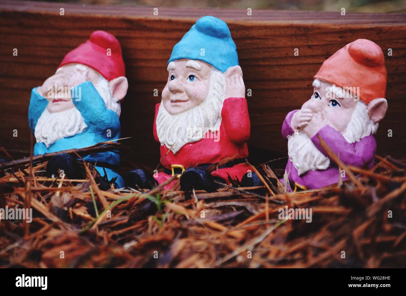 David the gnome hi-res stock photography and images - Alamy