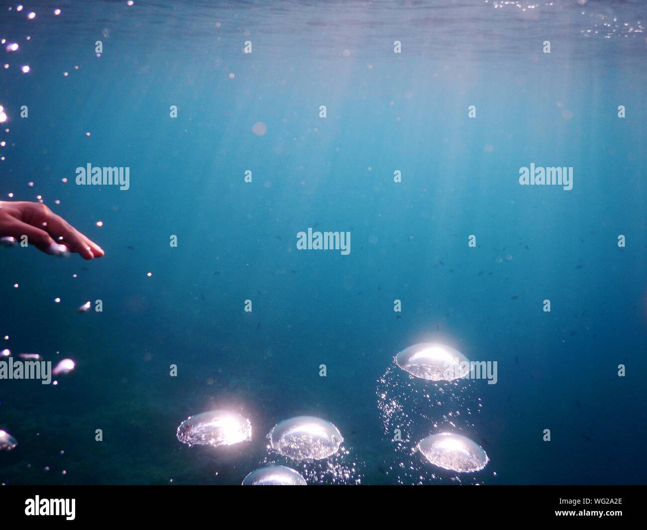 Hand reaching underwater hi-res stock photography and images - Alamy