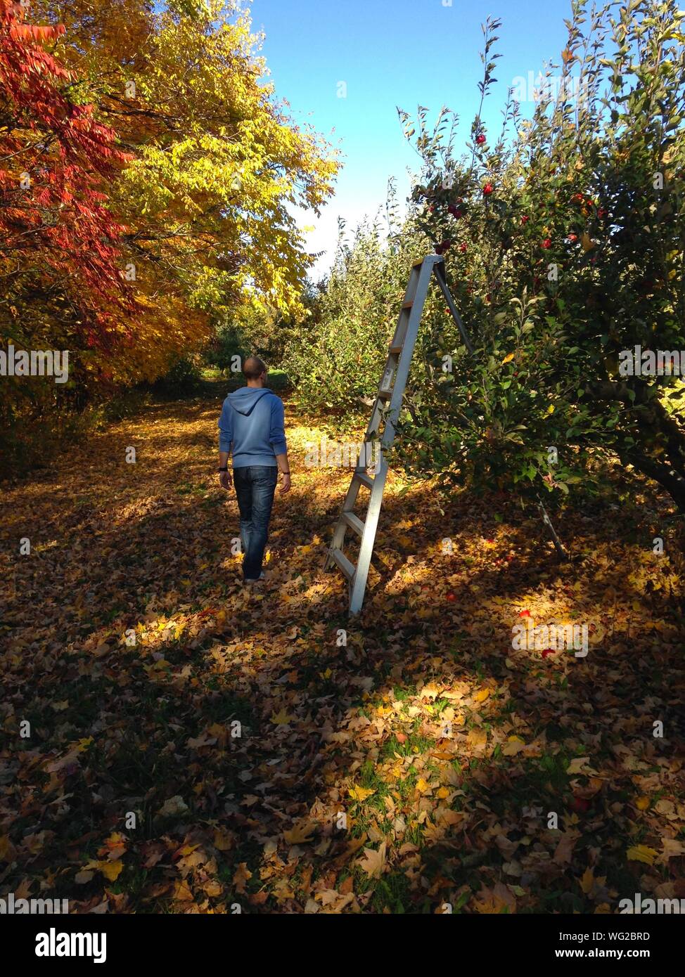 Pathway to success hi-res stock photography and images - Alamy