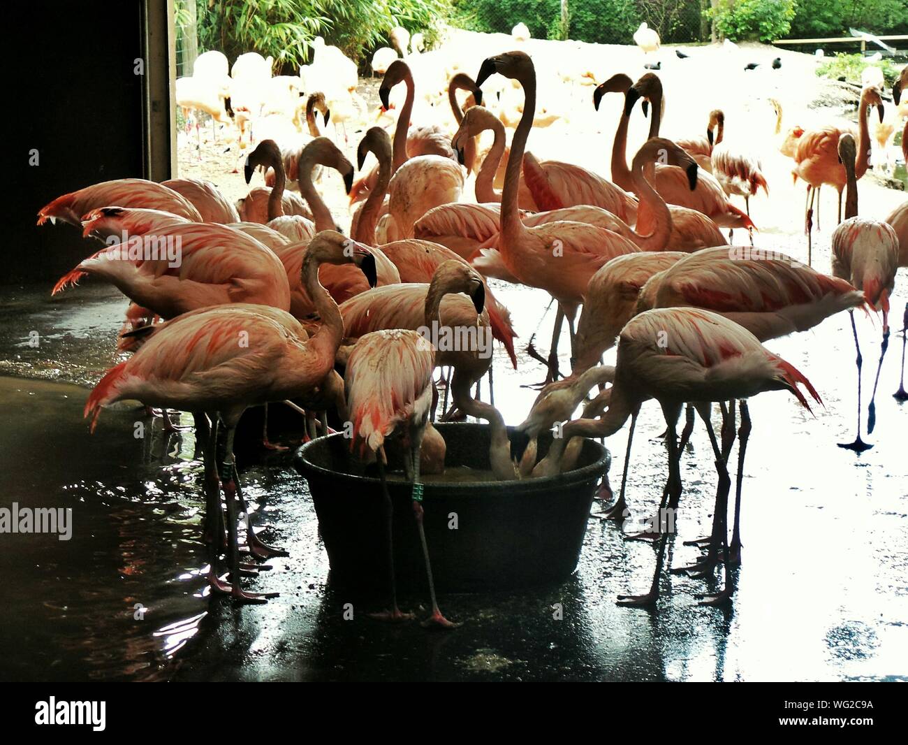 Water in tub hi-res stock photography and images - Alamy