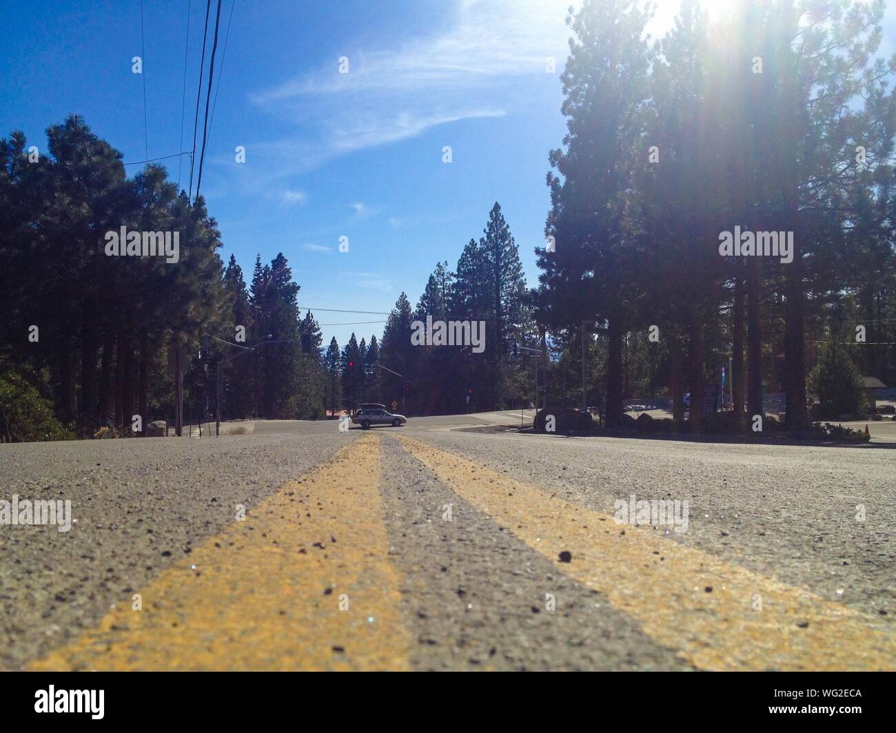 Pine level hi-res stock photography and images - Alamy