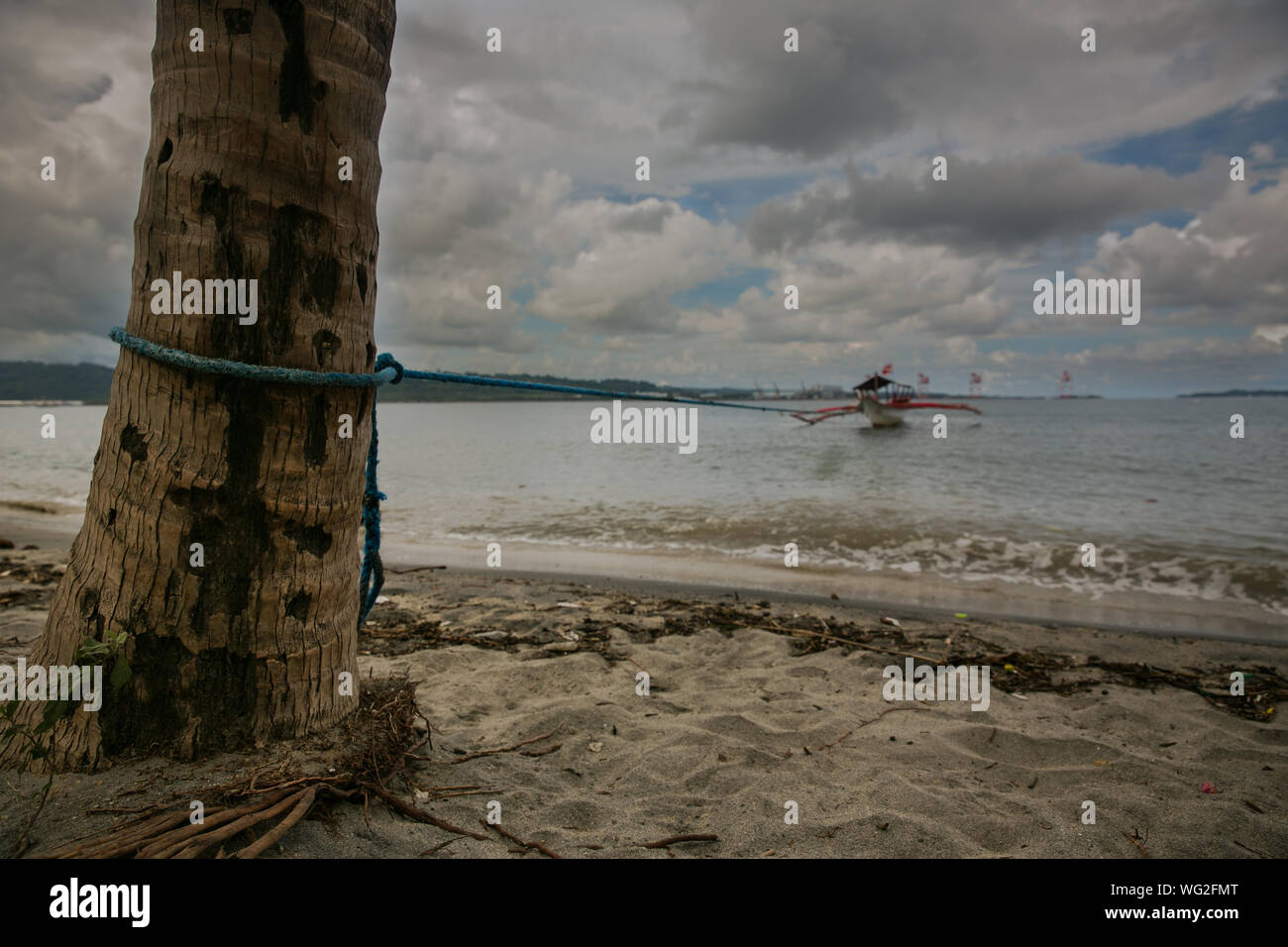 Tree trunk boat hi-res stock photography and images - Alamy
